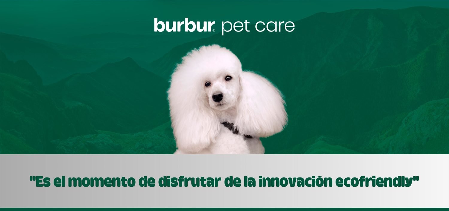 Los mejores productos de higiene para perros y gatos - Burbur