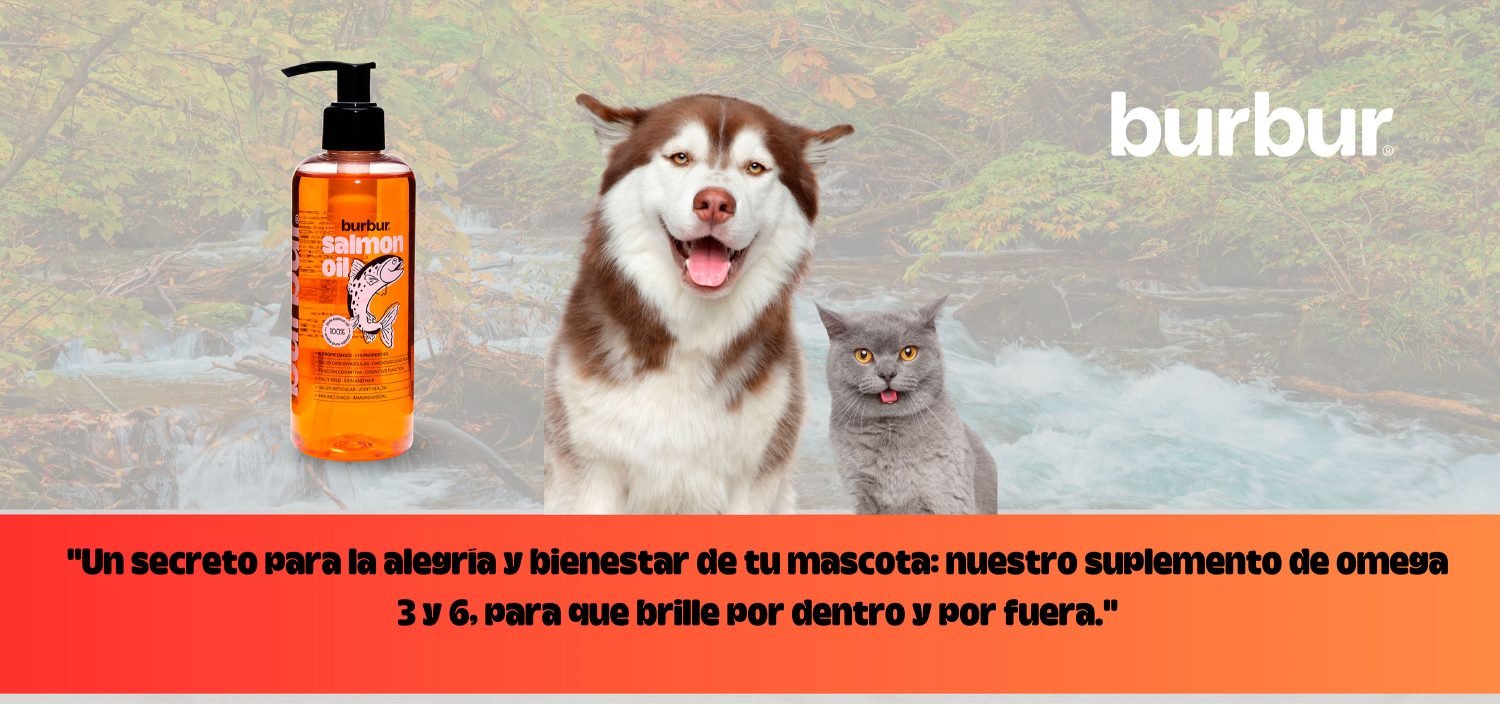 Los mejores productos de higiene para perros y gatos - Burbur